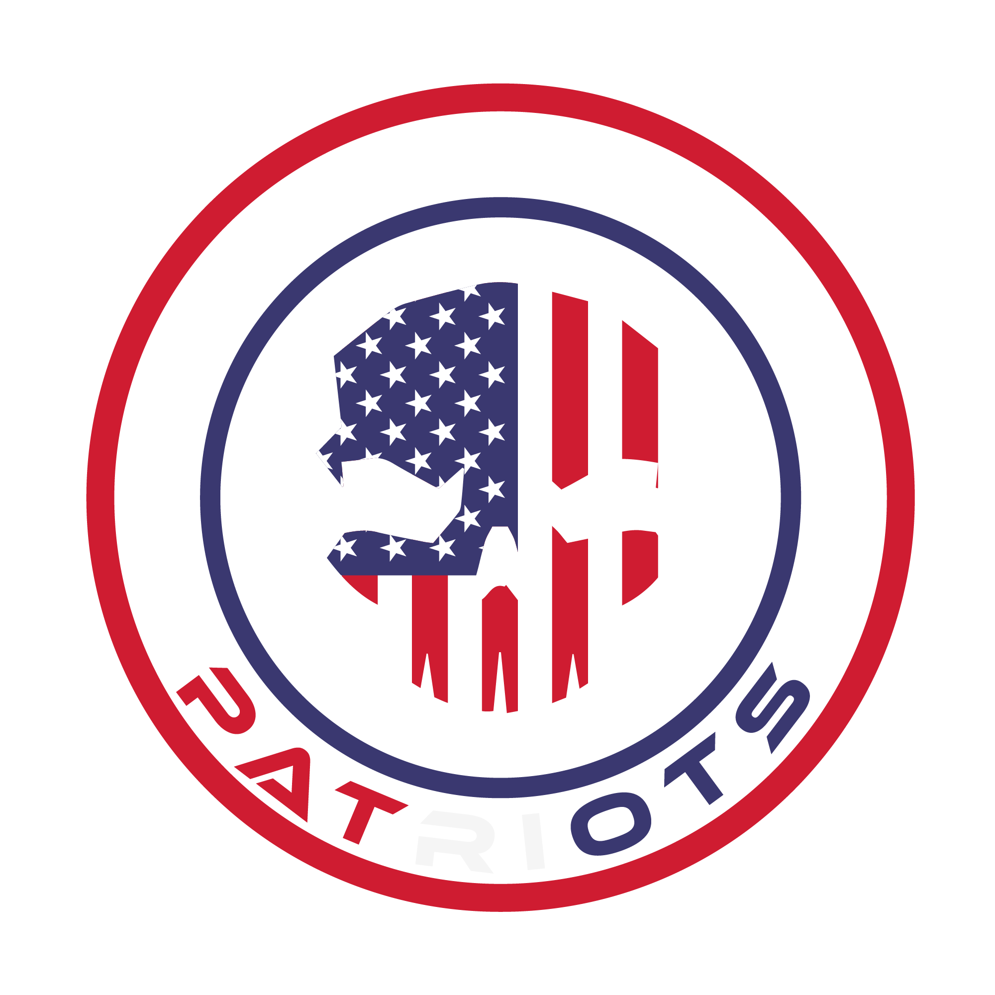 Concealed Patriots